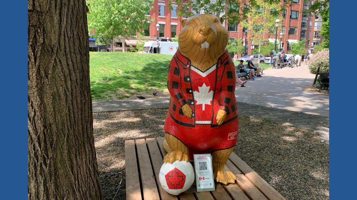 Join the beaver hunt: Toronto neighborhood offers unique World Cup ...