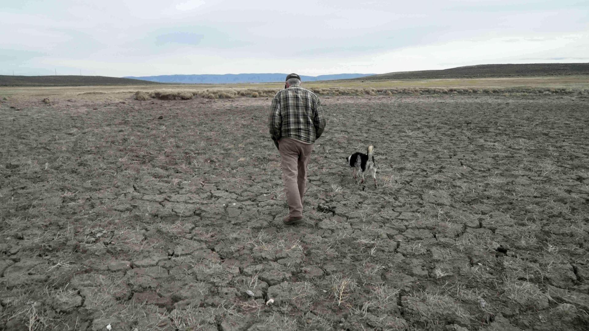 Record US drought sparks worries about fires, water supply and food ...