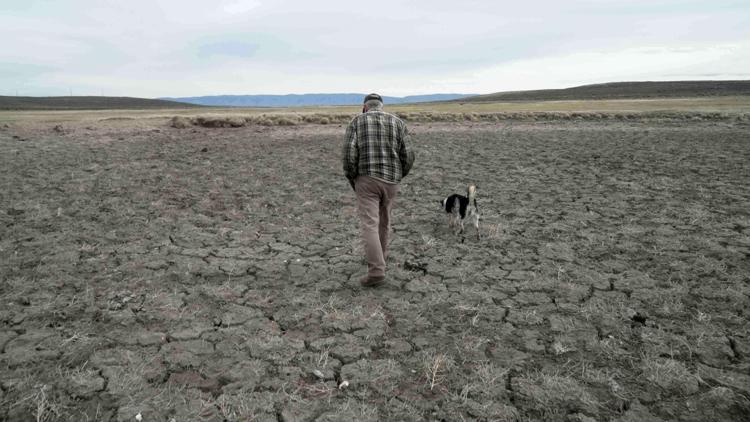 Record US drought sparks worries about fires, water supply and food ...