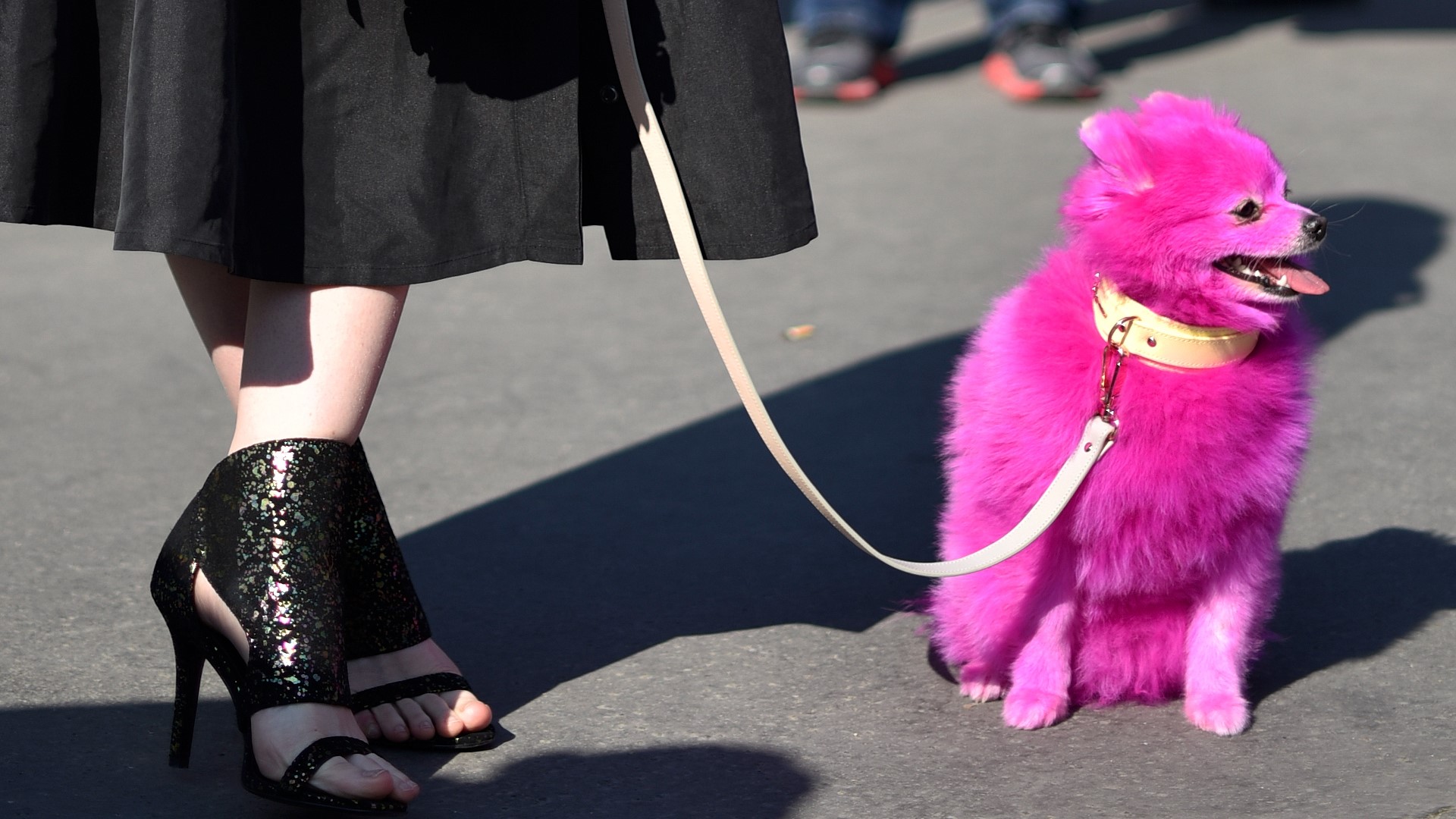 From Barbie to millenial pink: Behind the color that sells | 12news.com