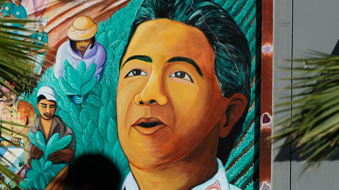 Family of Cesar Chavez 'devastated' by abuse allegations as states ...