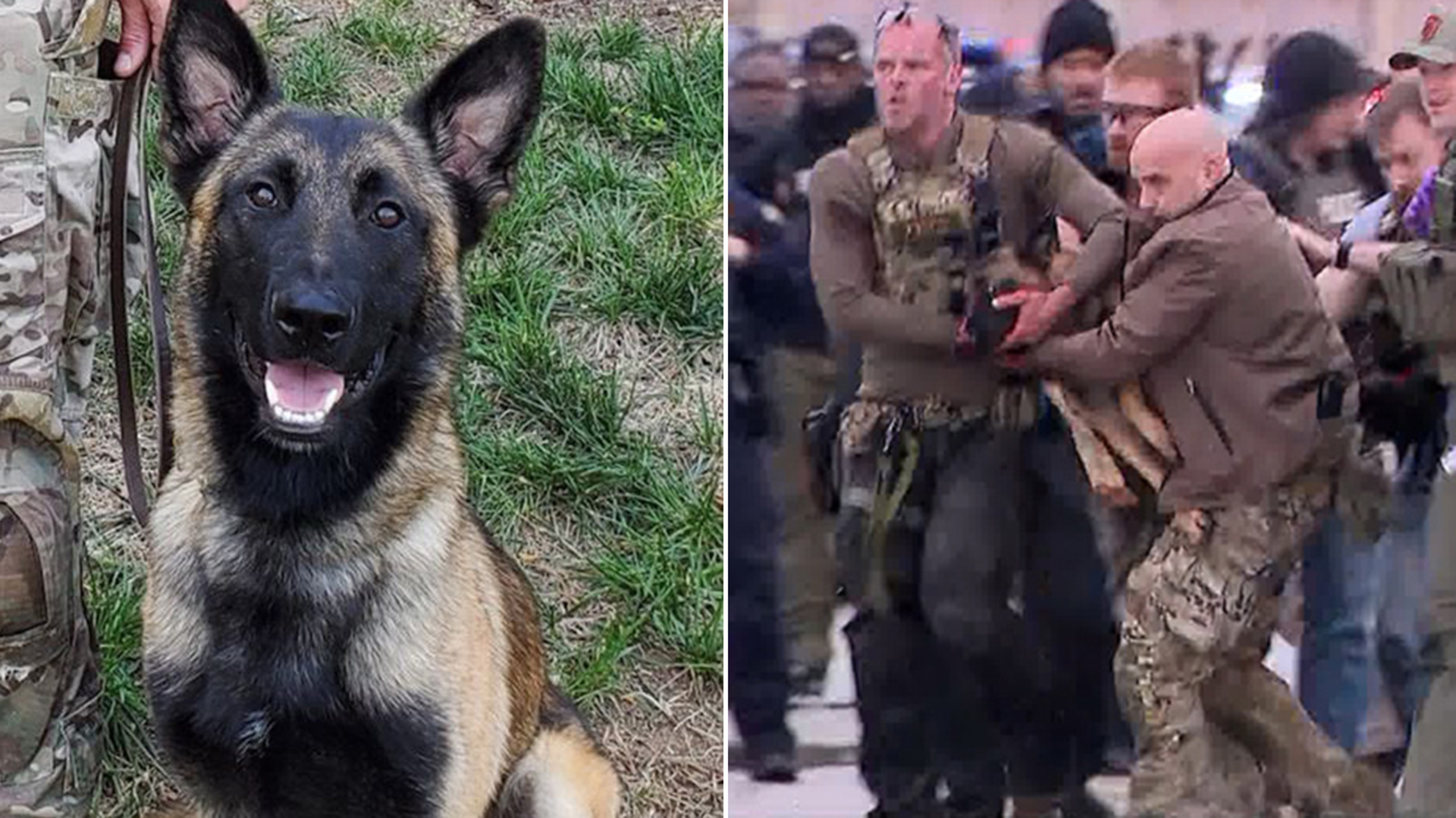 K-9 dog shot by deputy's killer narrowly escaped death, vet says ...