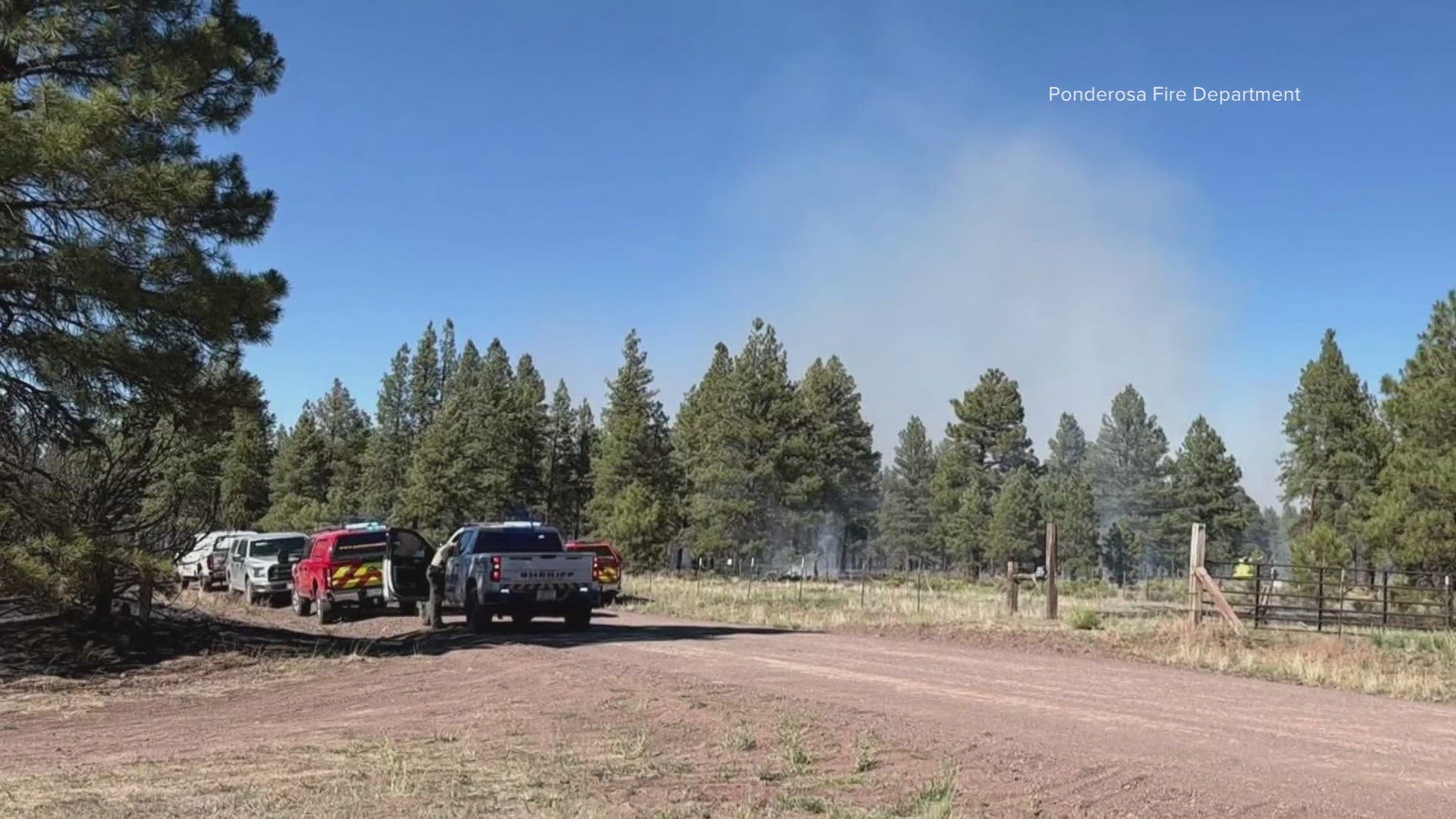 'SET' order issued for Spring Fire burning in Kaibab National Forest ...