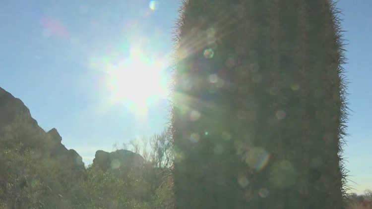 Arizona Midday | 12news.com