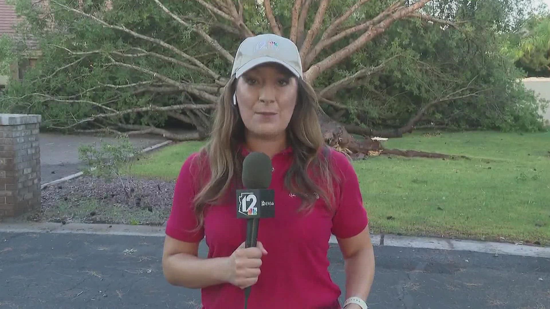 Residents wake up to storm damage in the East Valley | 12news.com