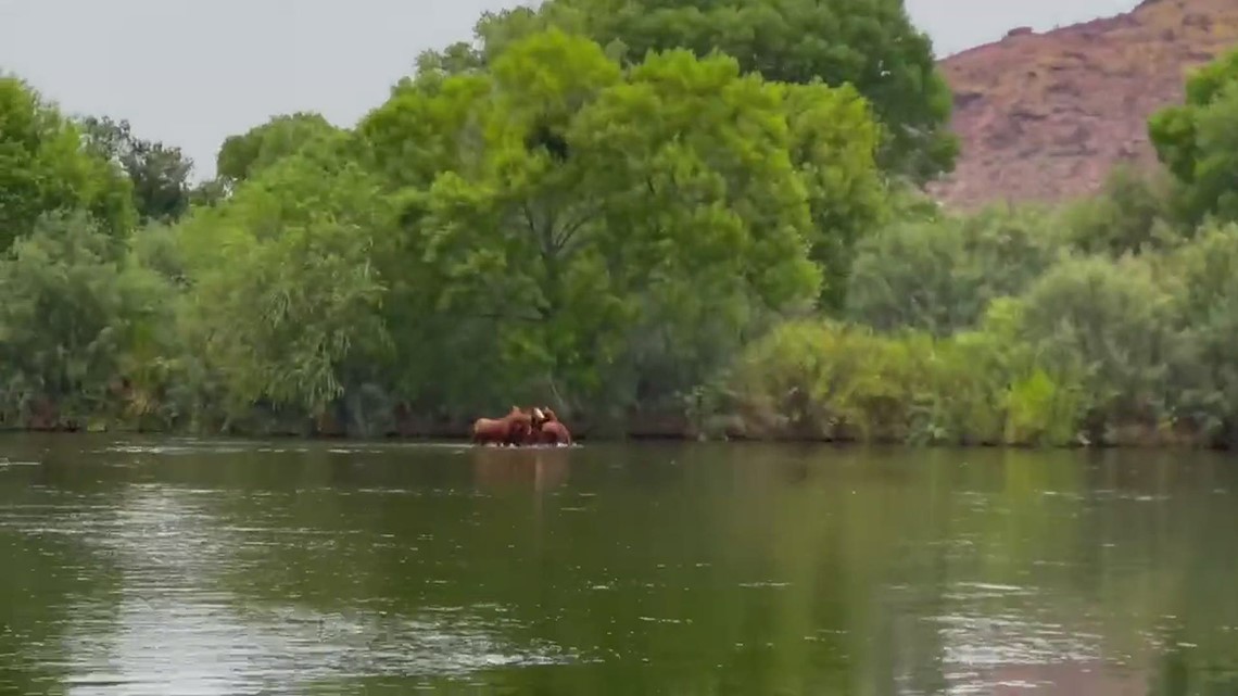 Water from dam floodgate goes into Salt River channel | 12news.com