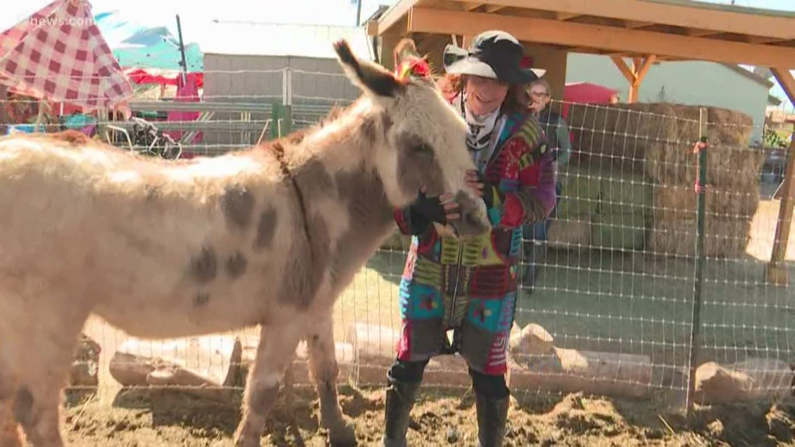 Gilbert animal sanctuary raises $100K for new property | 12news.com