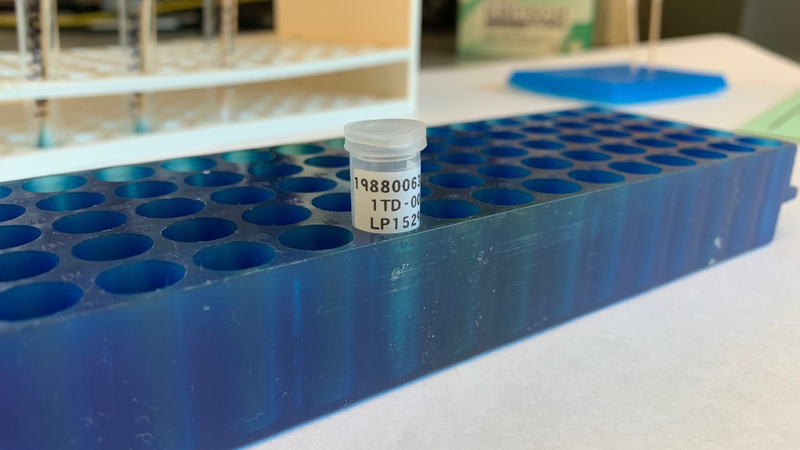 Hunting Loretta’s killer: Mesa cold case murder stumps police and ...