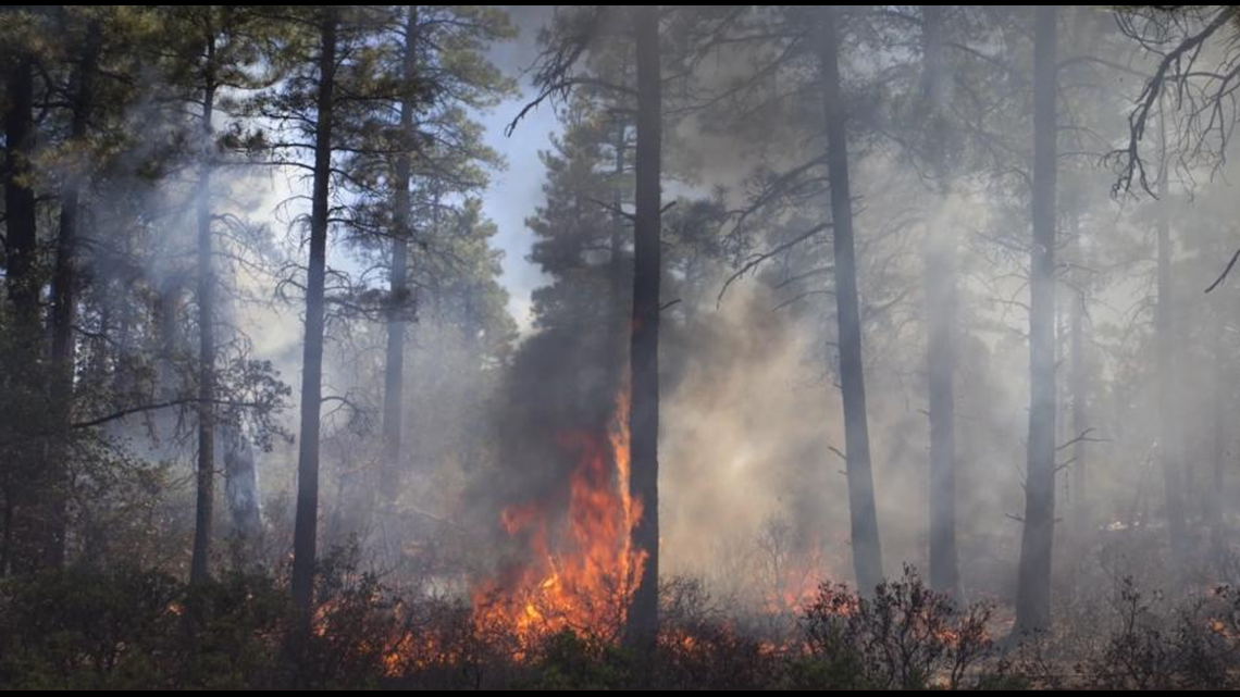 Catching Fire Fog Scene