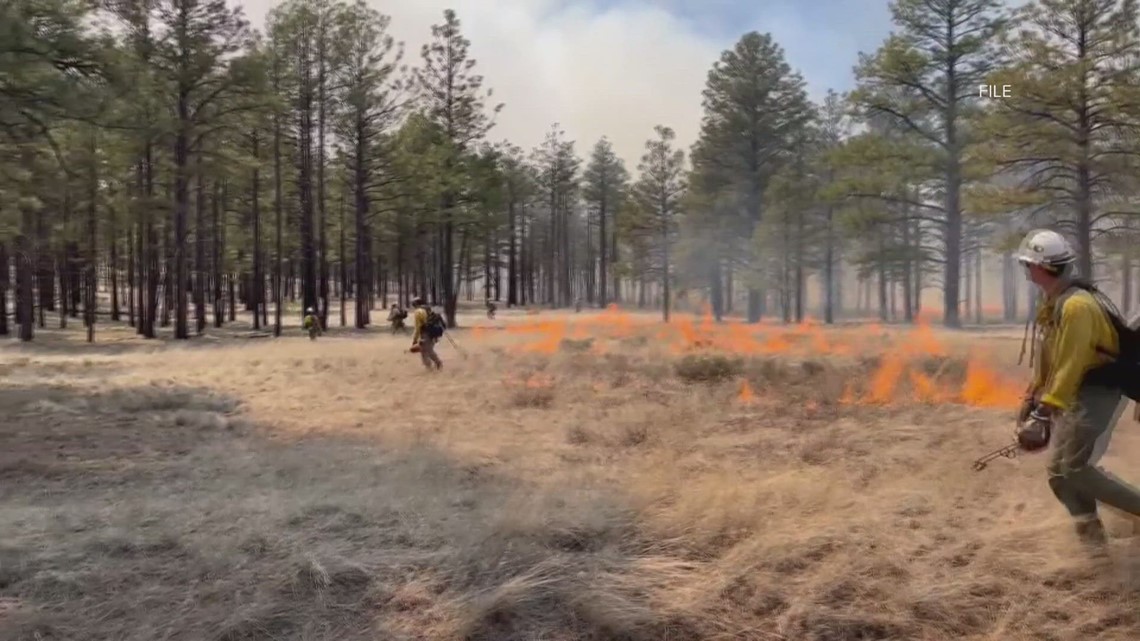 Arizona fire ban in effect as smoke plagues millions across U.S ...