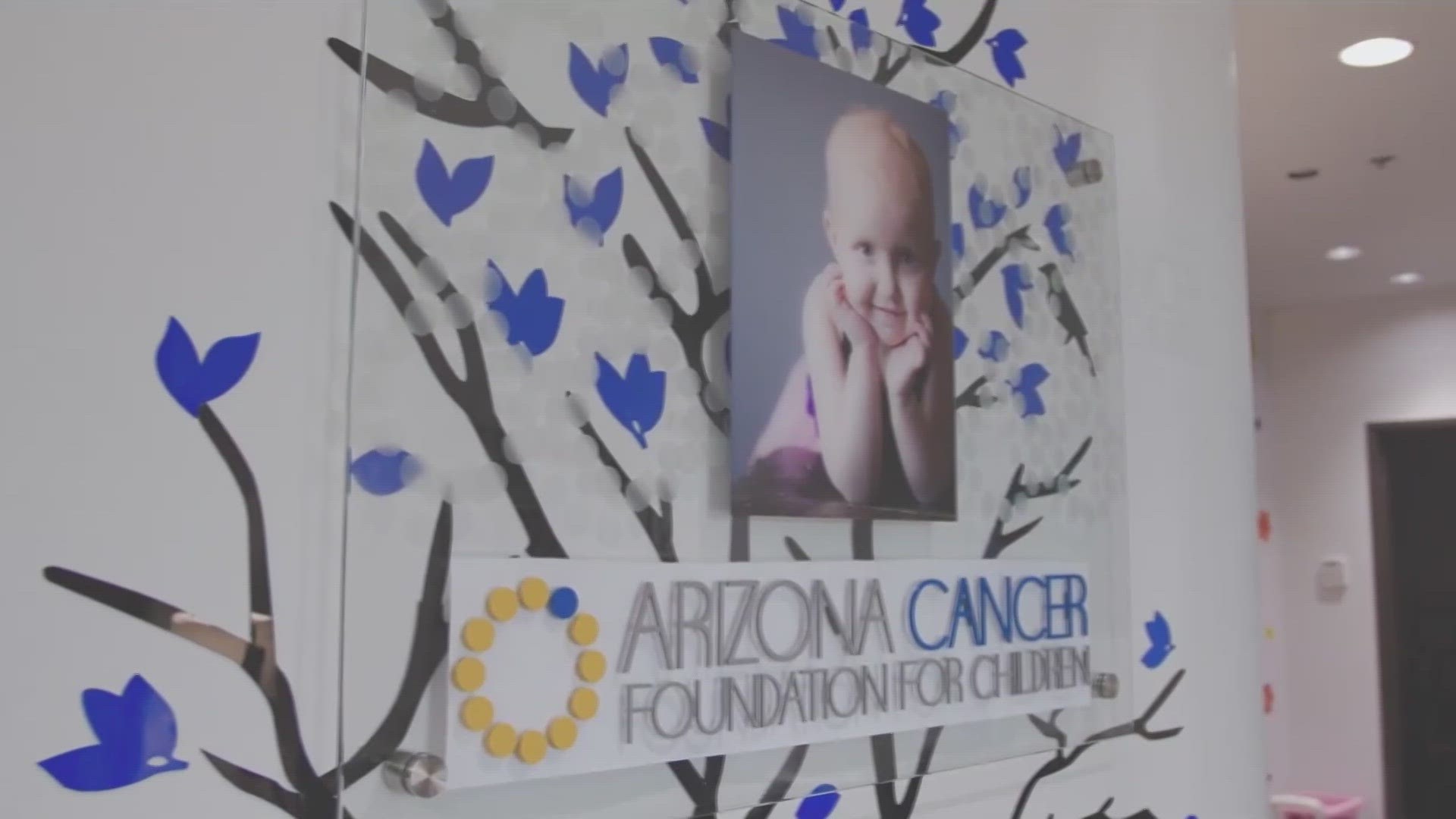 Los niños con cáncer en Arizona necesitan de la ayuda de todos | 12news.com