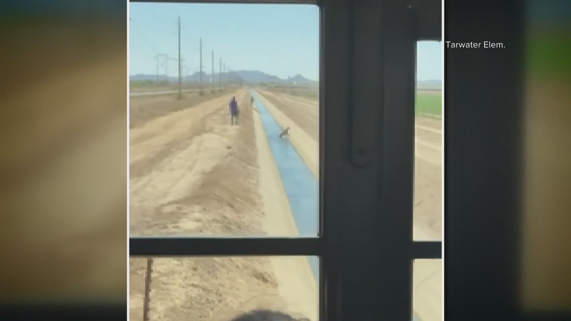 Chandler field trip turns into rescue mission for dog stuck in canal ...