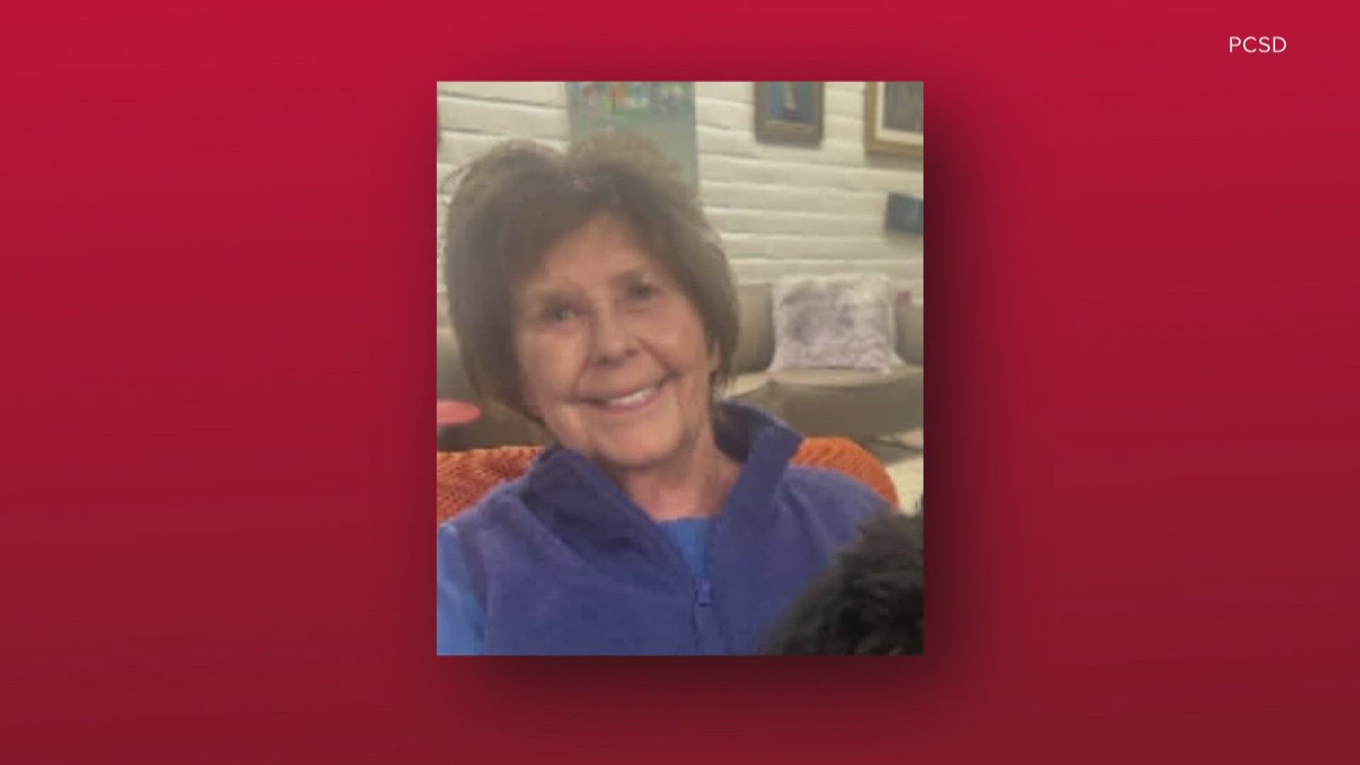 Search continues in Arizona for missing mom of 'Today' host | 12news.com