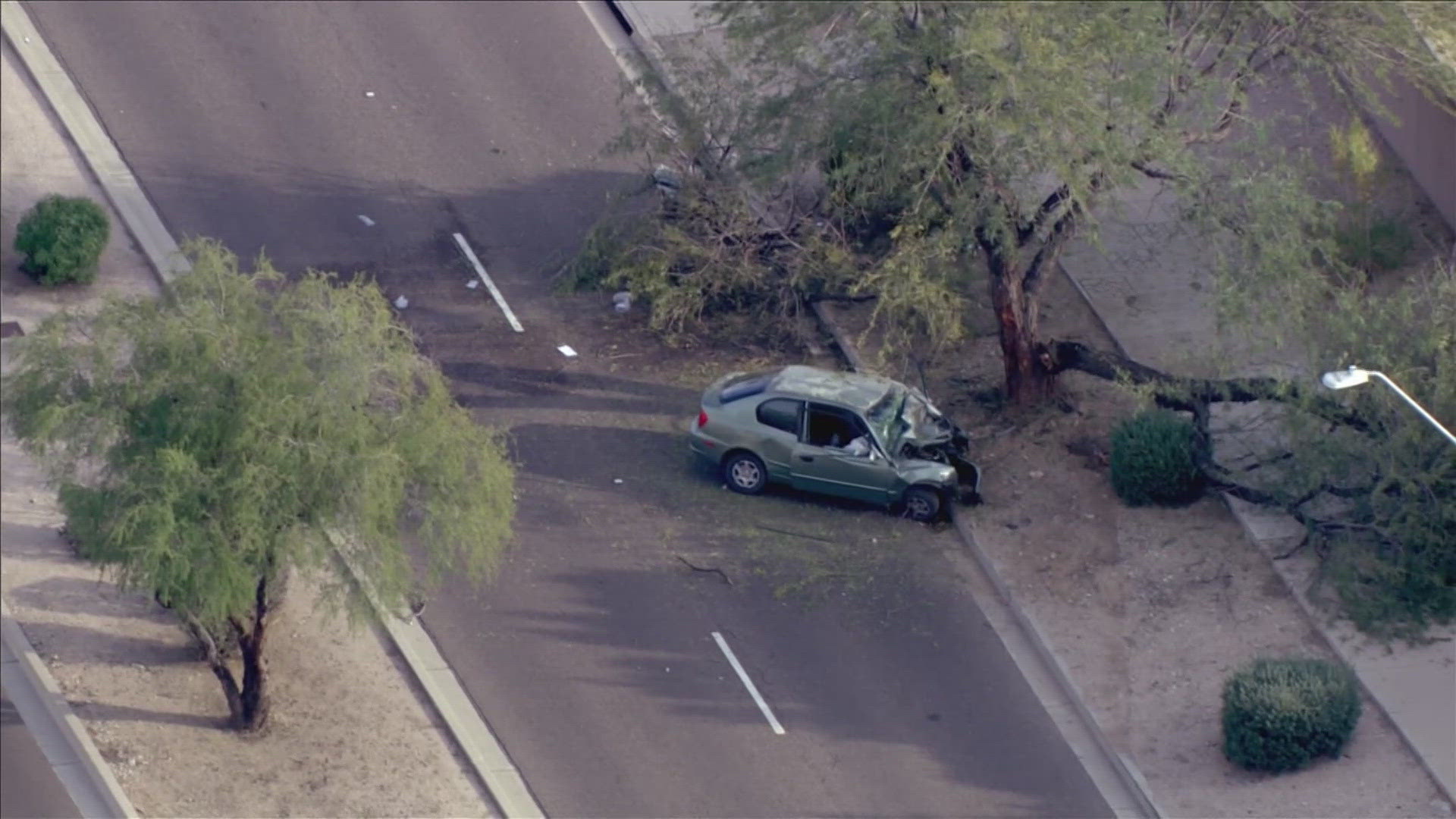 1 killed after car crashes into tree in Scottsdale, road remains closed ...