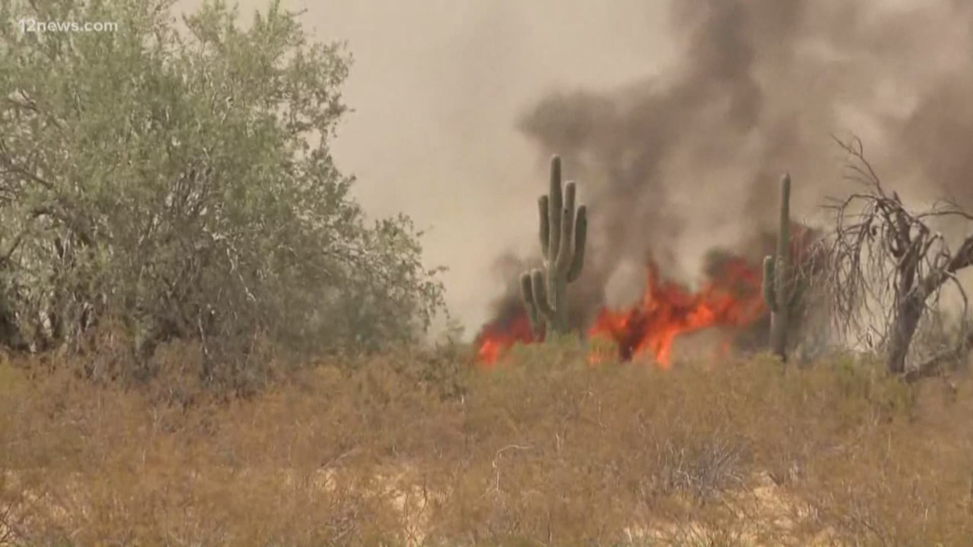 Brush fire in north Phoenix 80% contained | 12news.com