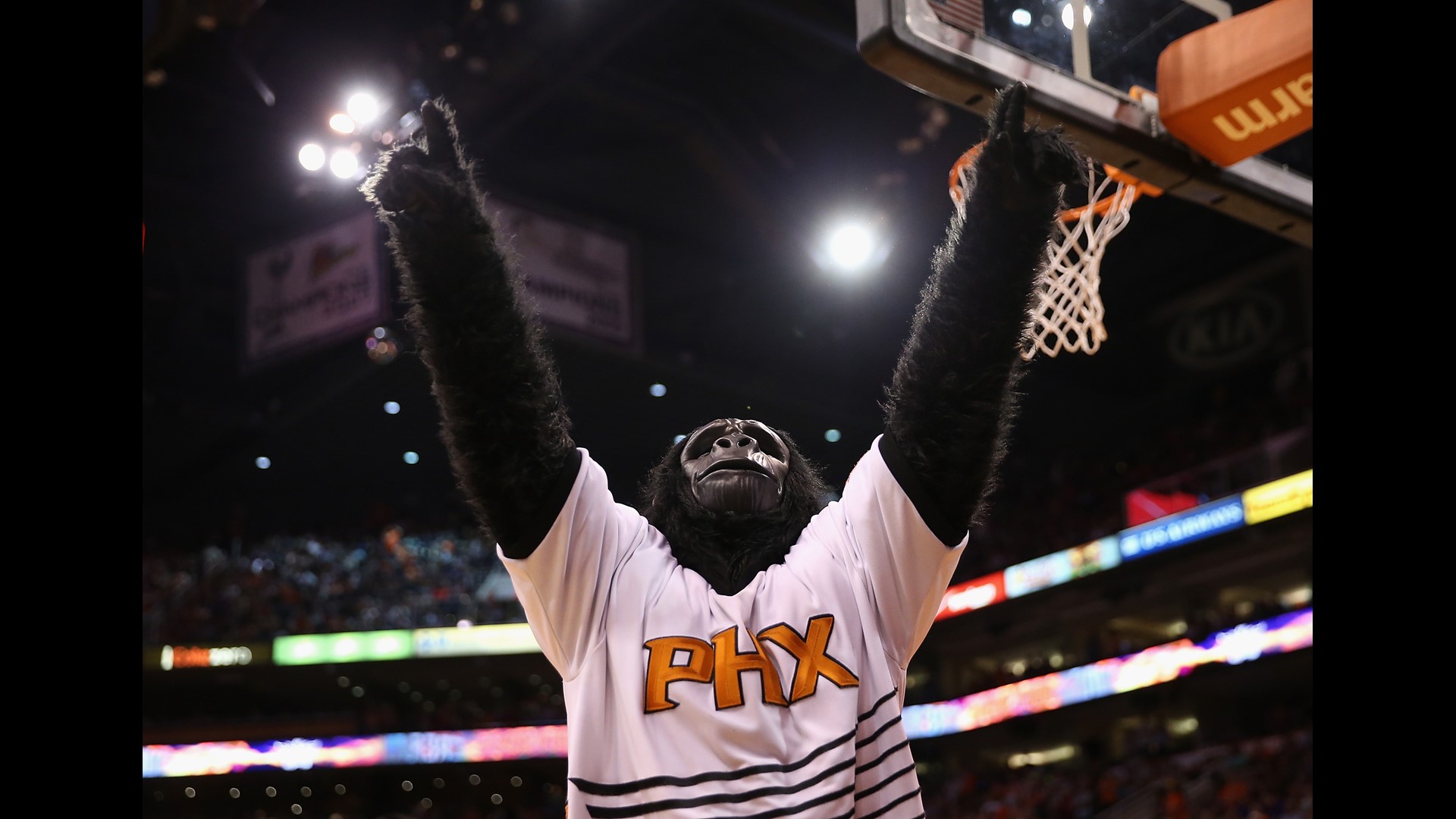 Phoenix Suns troll 'Big Baller Brand' with Gorilla's new swag | 12news.com
