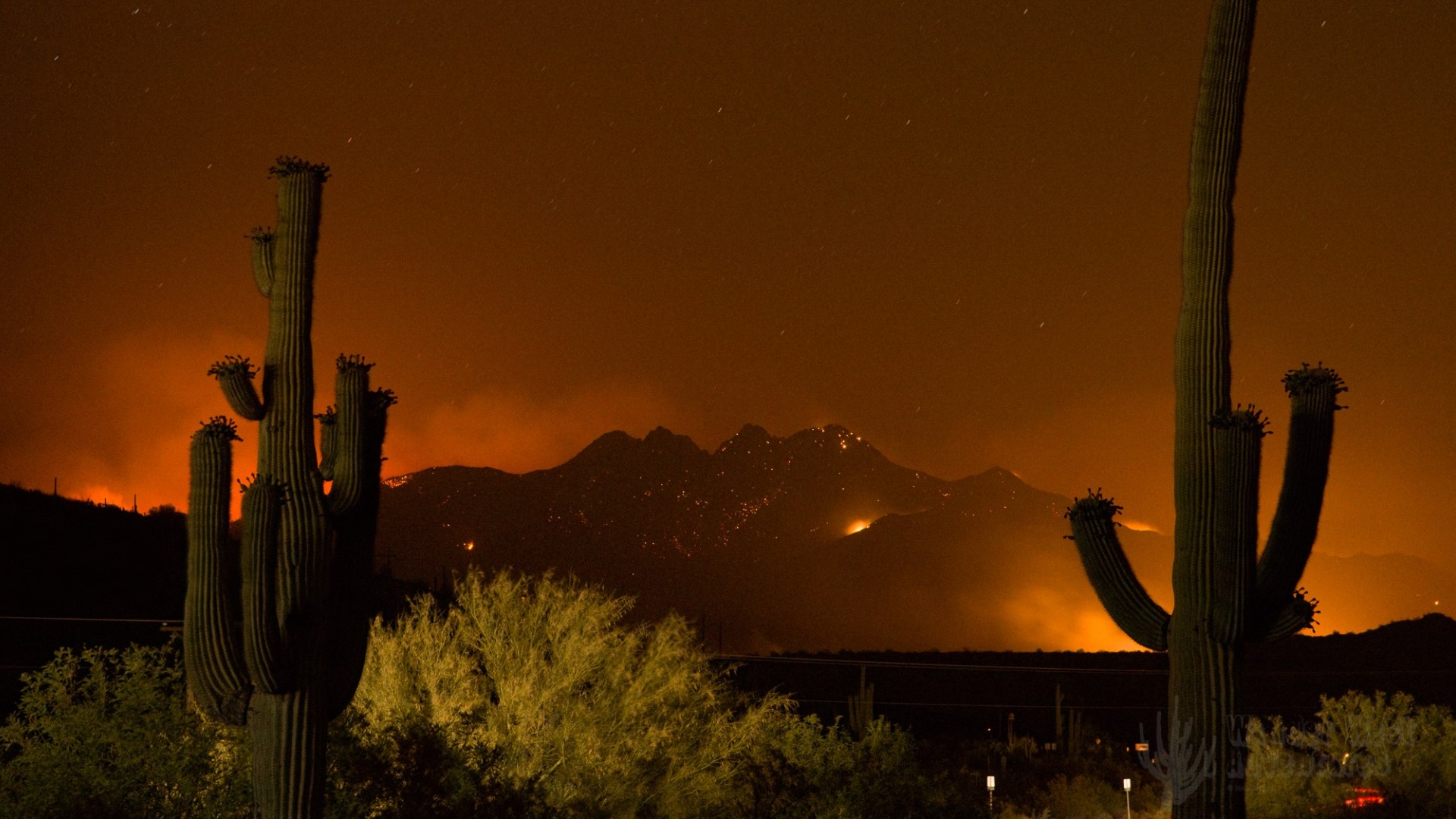 Evacuations ordered as Bush Fire burns in Tonto National Forest ...