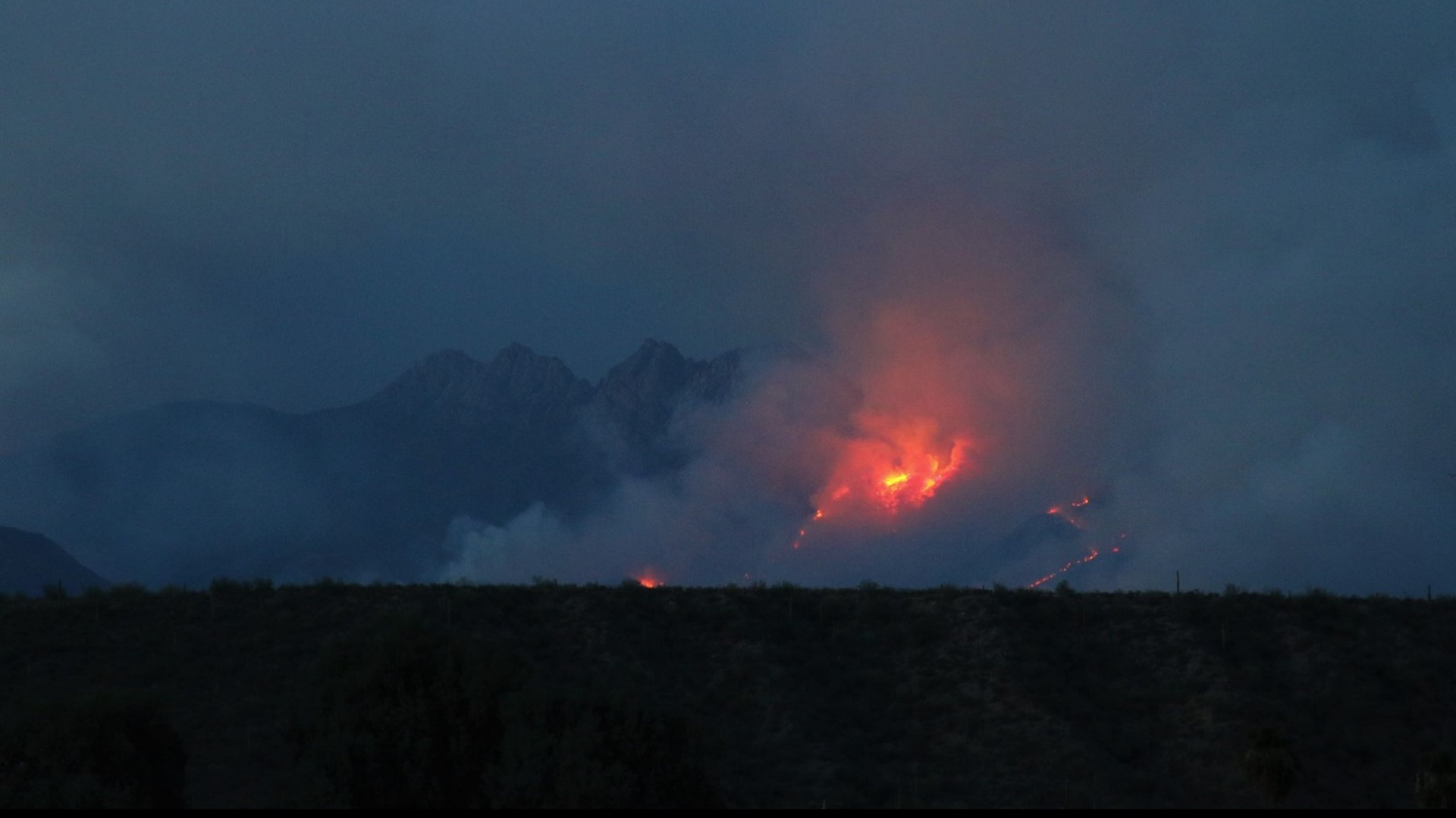 Evacuations ordered as Bush Fire burns in Tonto National Forest ...