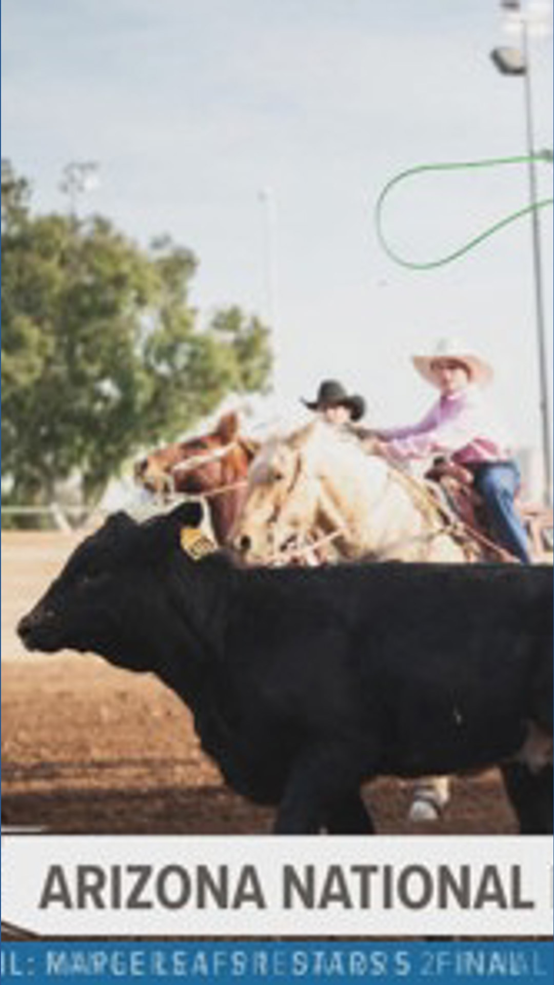 Arizona National Livestock Show returns to the Valley | 12news.com