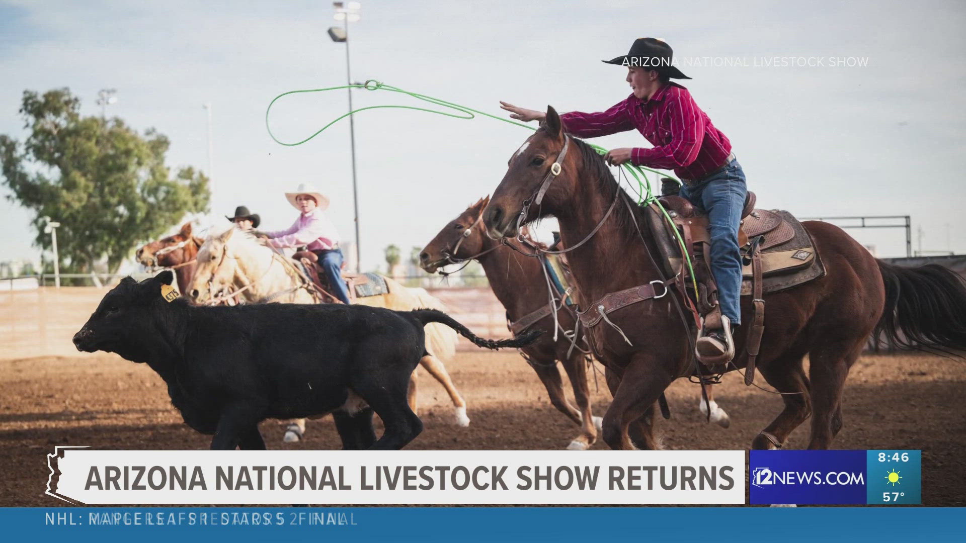 Arizona National Livestock Show returns to the Valley | 12news.com
