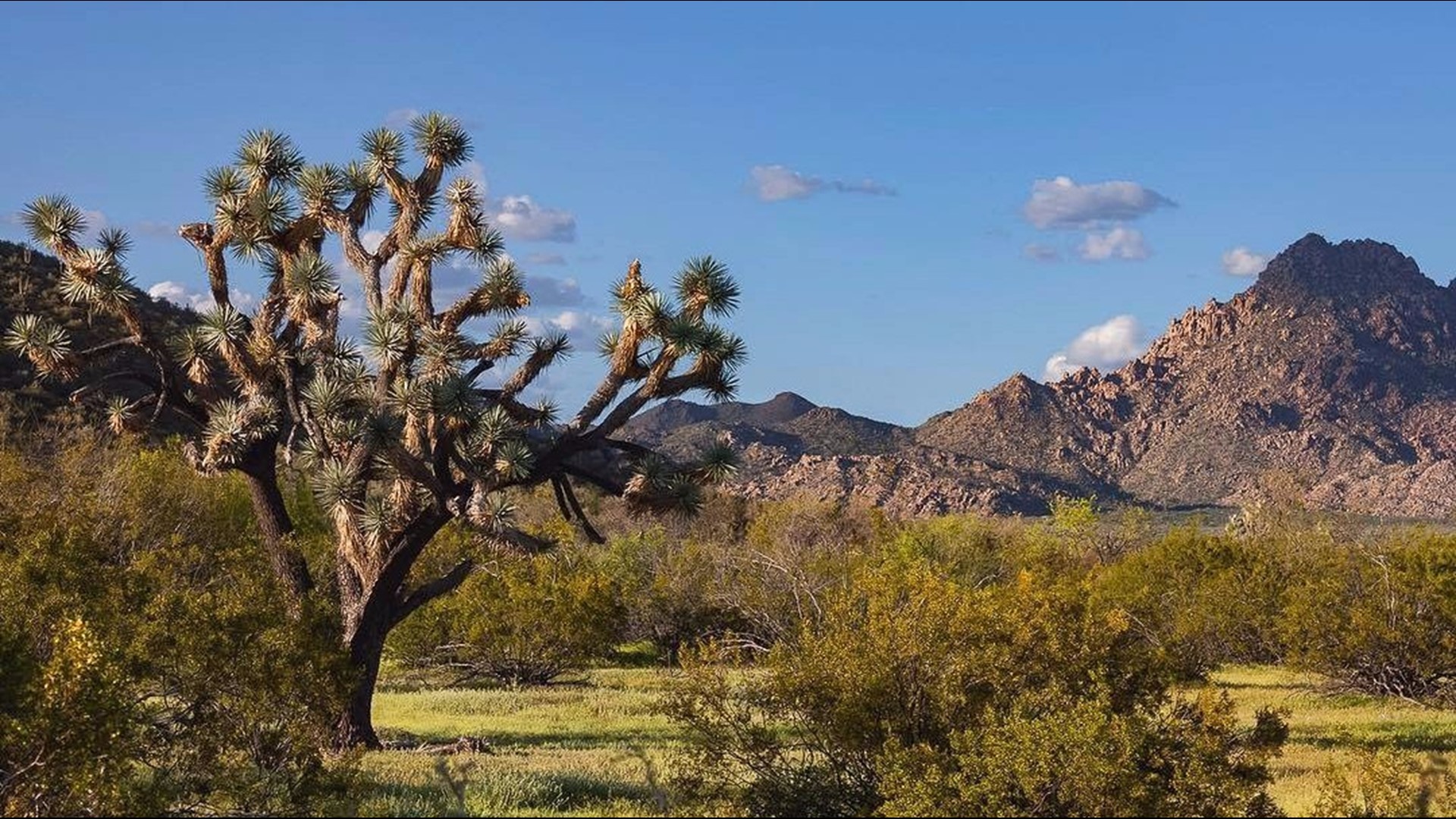 Weird weather from America's deep freeze to Phoenix's record heat, poor ...