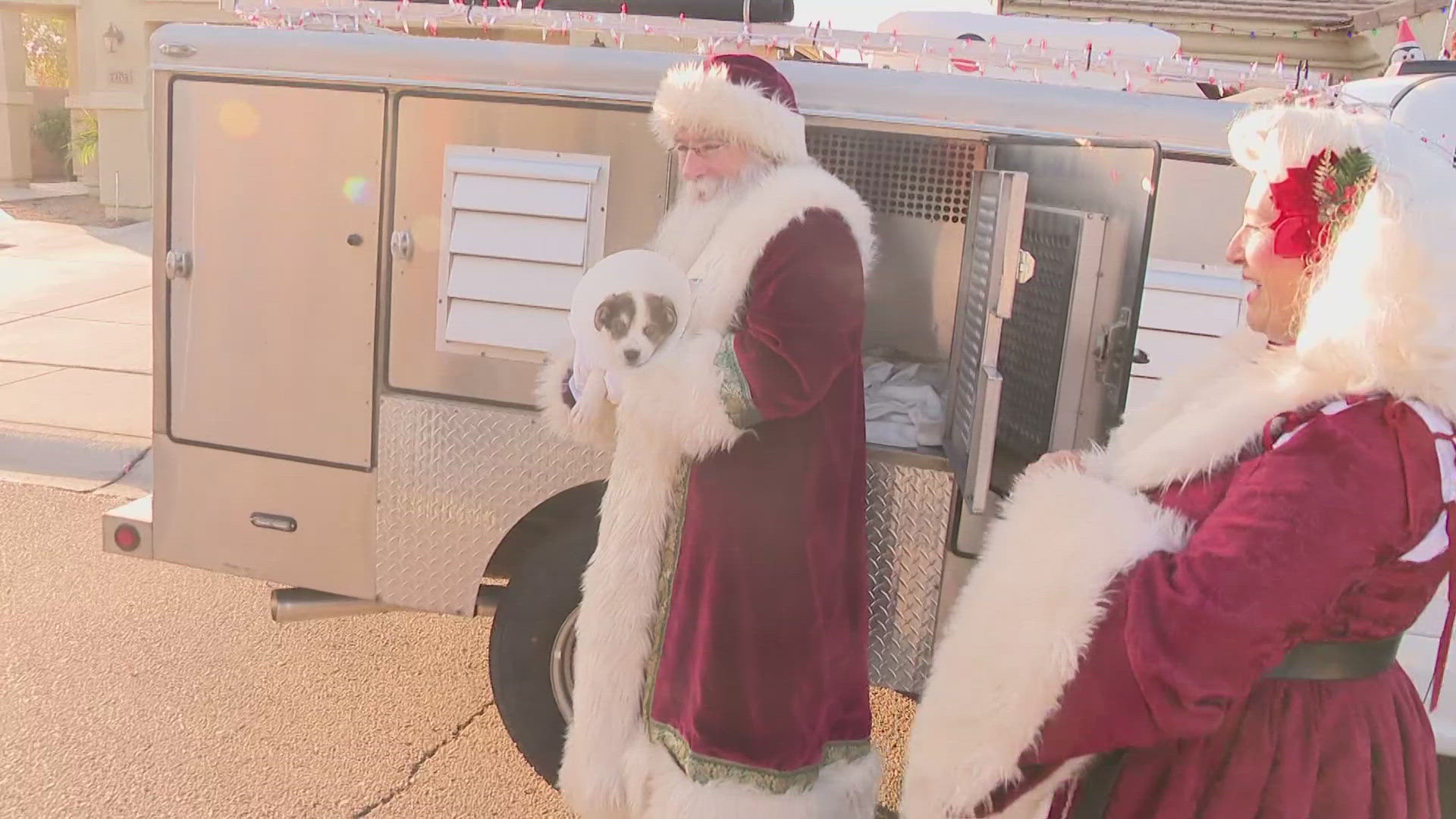Santa makes home visit to transport puppies to Arizona families ...
