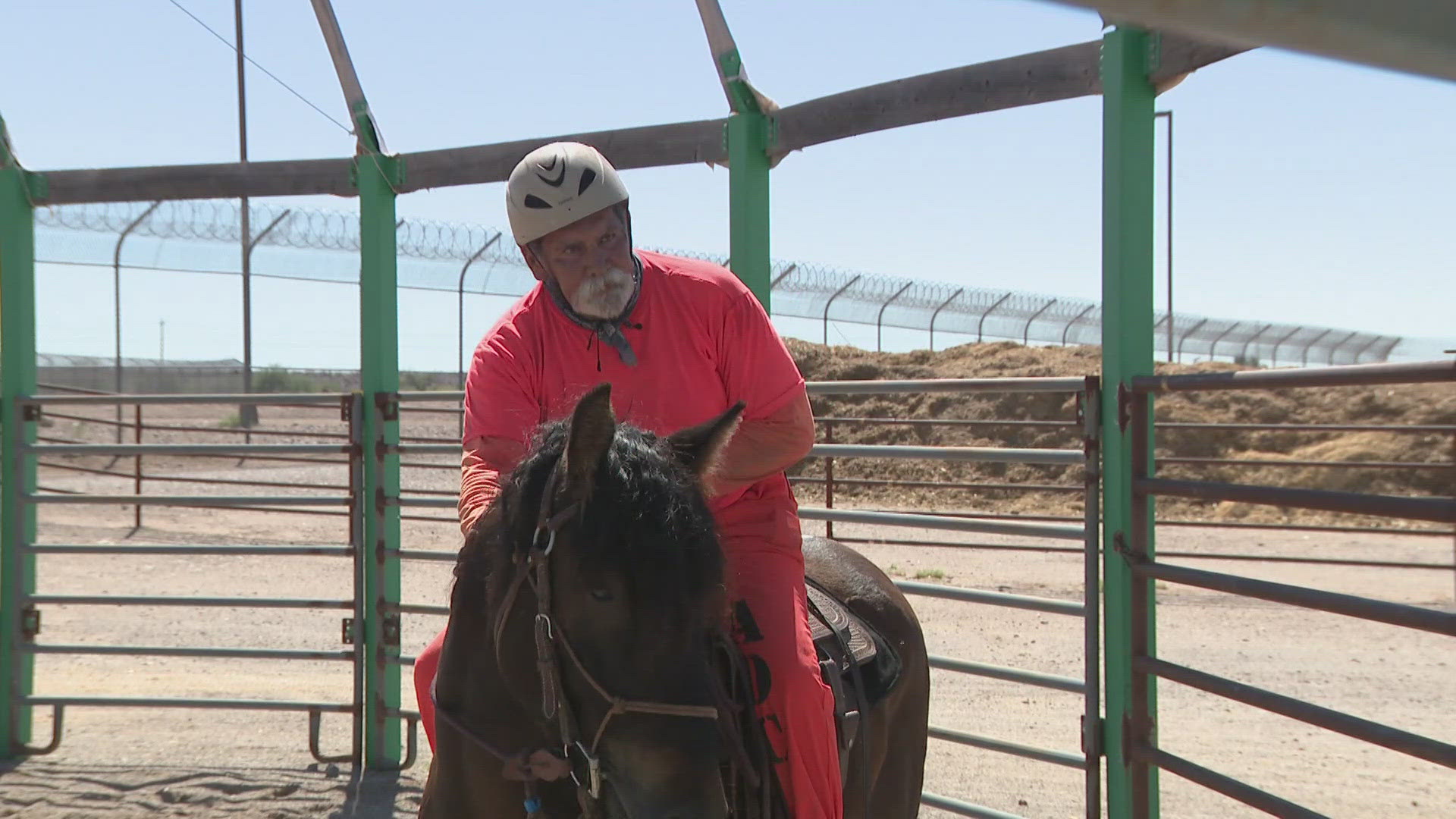 Arizona prison inmates work to train wild horses and burros | 12news.com