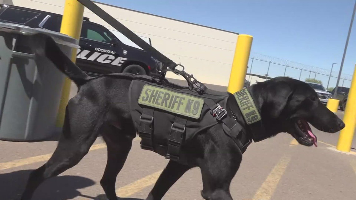 MCSO K-9 treated with Narcan | 12news.com