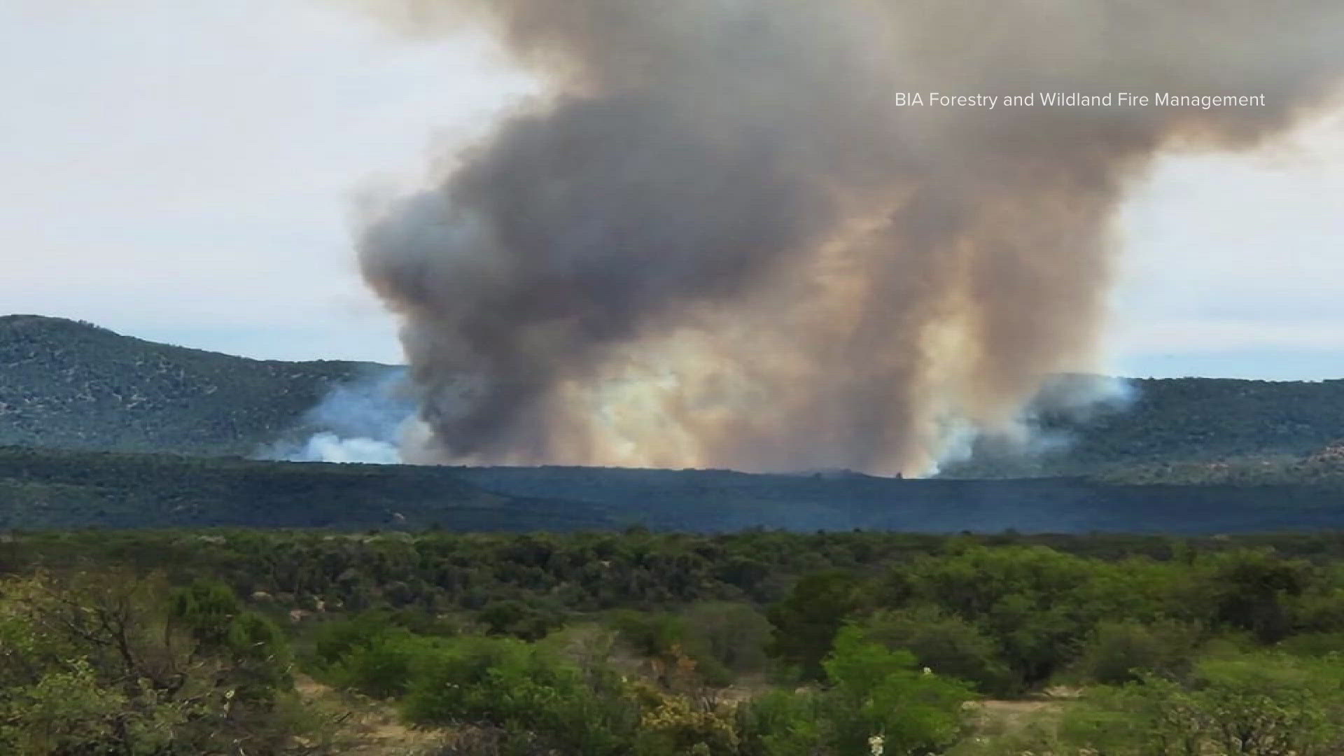 Wildfire Update June 8: Bear Fire grows in eastern Arizona | 12news.com