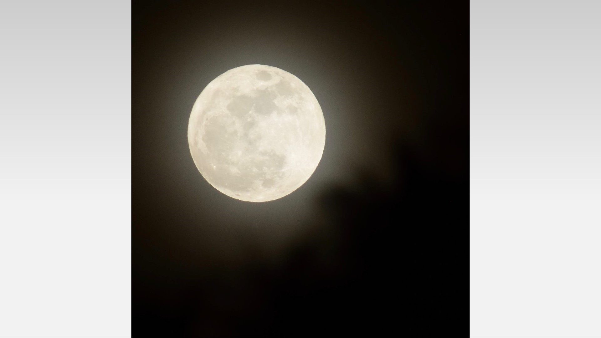12 News viewers capture incredible images of supermoon | 12news.com