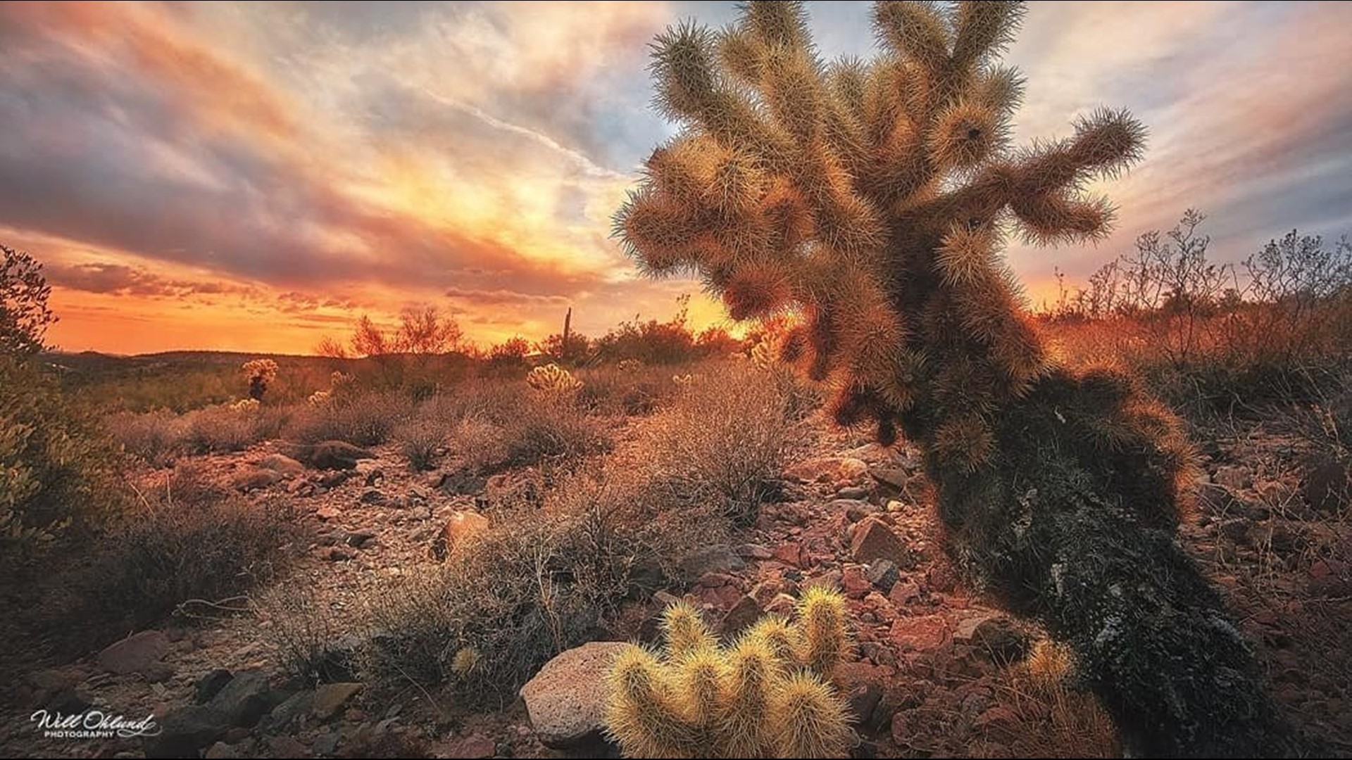 SW Valley week of our Everything Arizona series was a success! | 12news.com