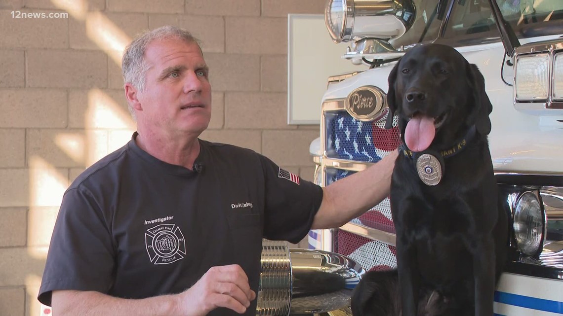 Meet the dog helping solve arson cases throughout Arizona | 12news.com