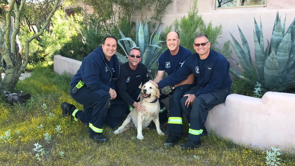 Scottsdale firefighters rescue golden retriever trapped underground ...
