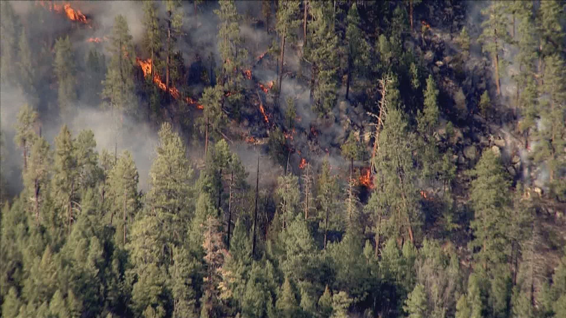 Tinder Fire started by abandoned illegal campfire, forest officials say ...