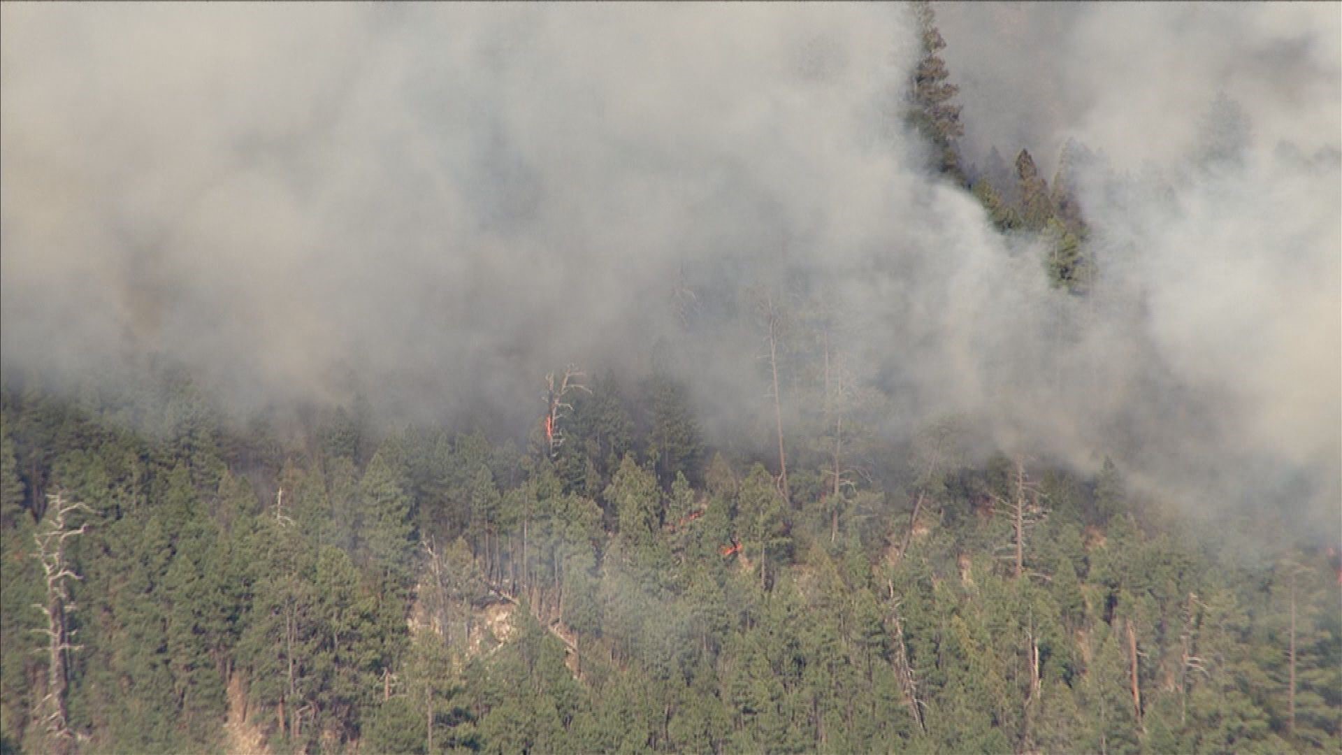 Tinder Fire started by abandoned illegal campfire, forest officials say ...