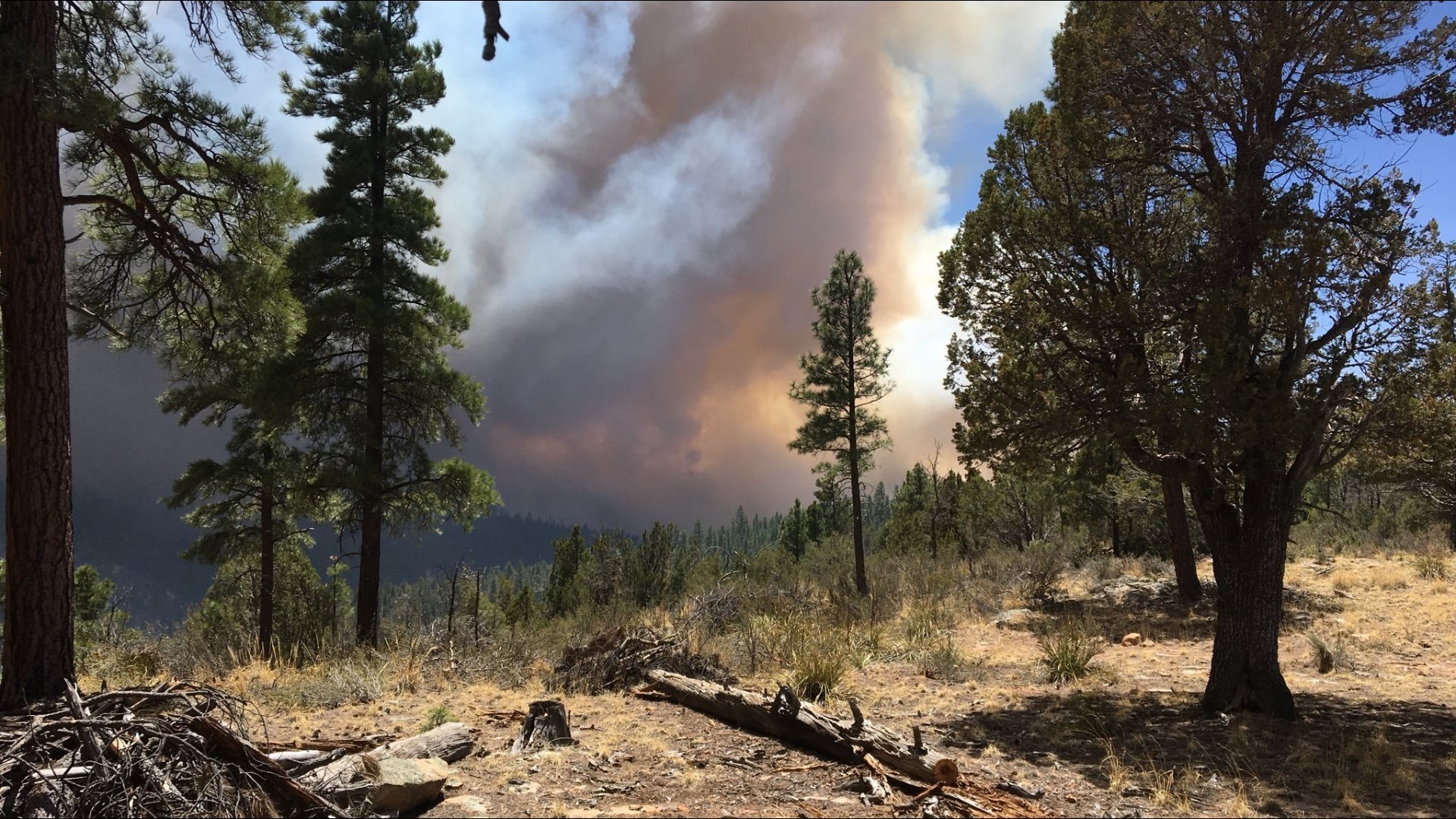 Tinder Fire started by abandoned illegal campfire, forest officials say | 12news.com