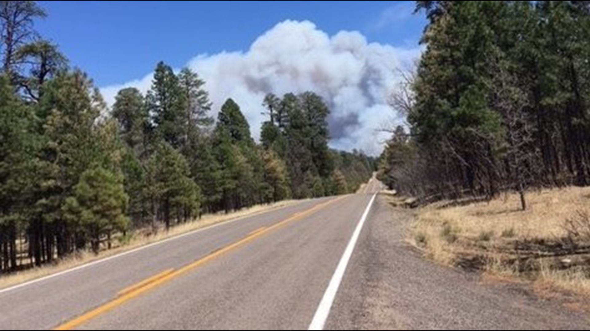 Tinder Fire started by abandoned illegal campfire, forest officials say | 12news.com