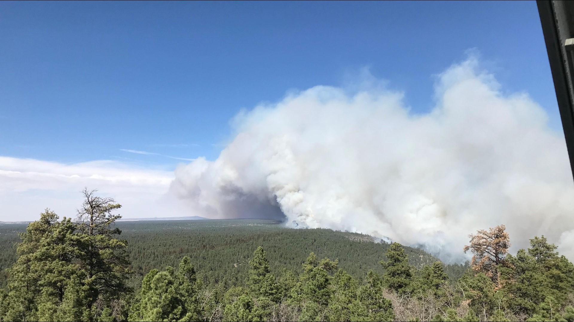 Tinder Fire started by abandoned illegal campfire, forest officials say ...