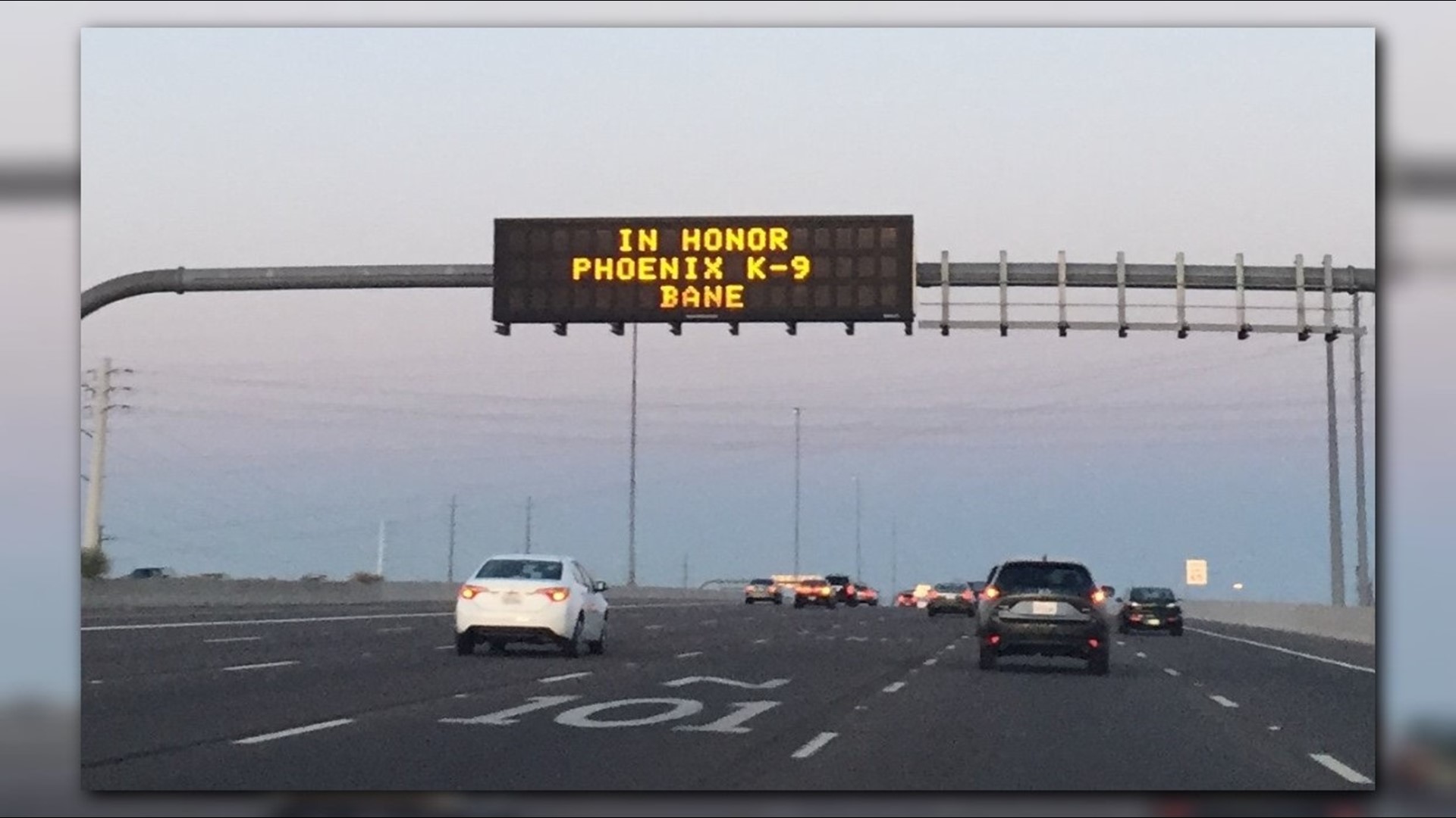 What happened to Phoenix K9 Bane? | 12news.com