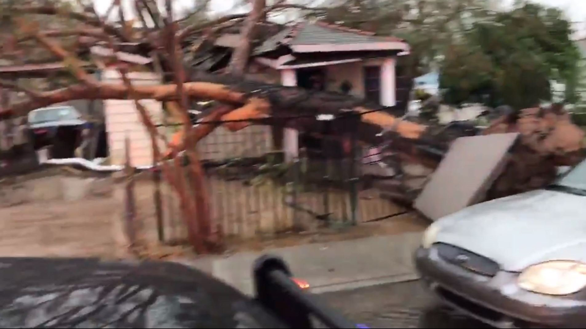 Man rescued after a tree falls on his house in Mesa | 12news.com