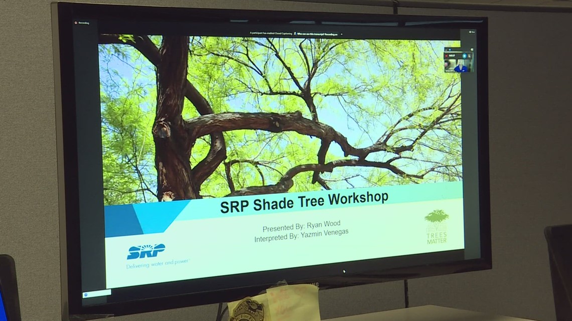 Get a free shade tree from this SRP program | 12news.com