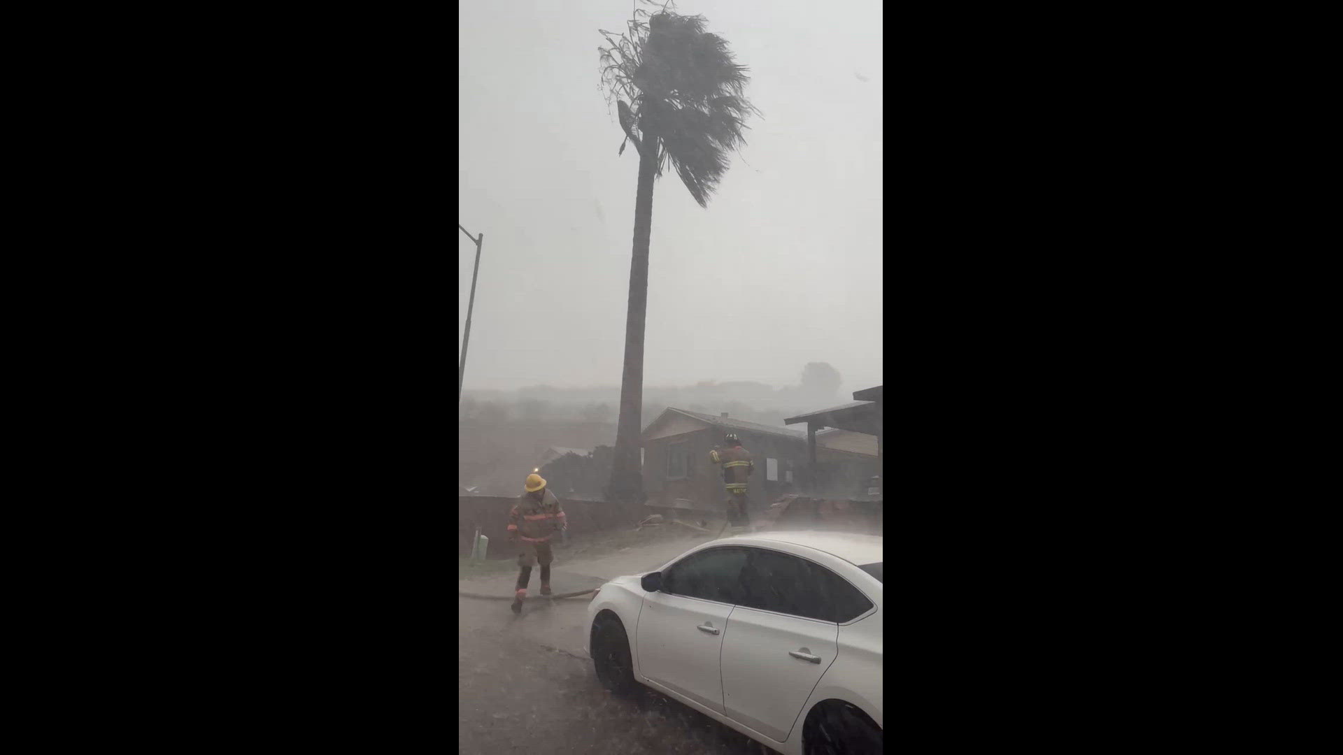 Globe Fire Department fighting palm tree fire and helping during the ...