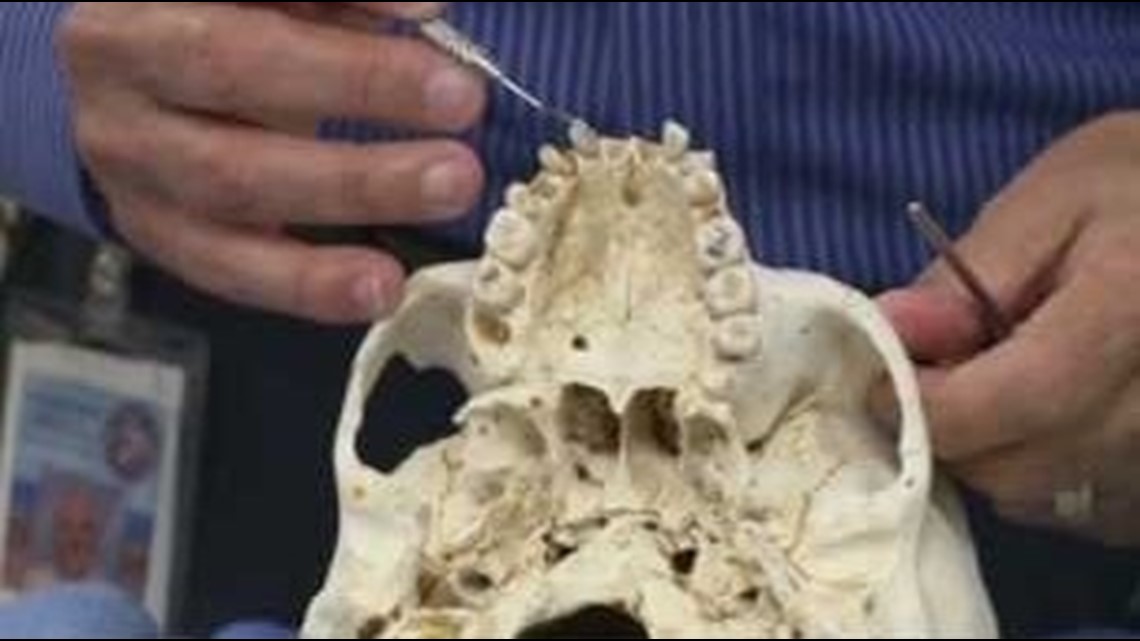 How investigators solve missing person cases | 12news.com