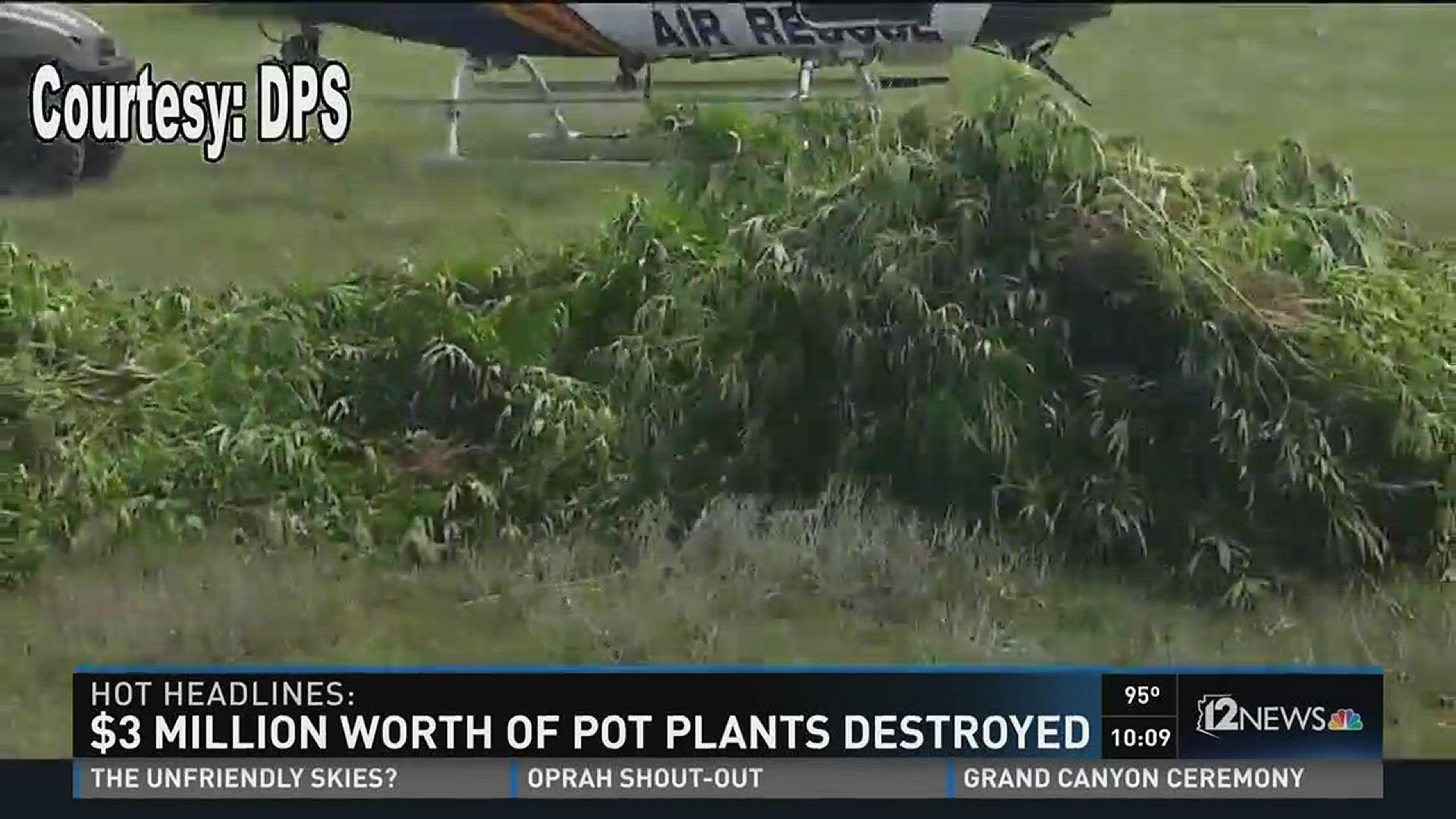 $3 million in marijuana destroyed on Fort Apache Indian Reservation ...
