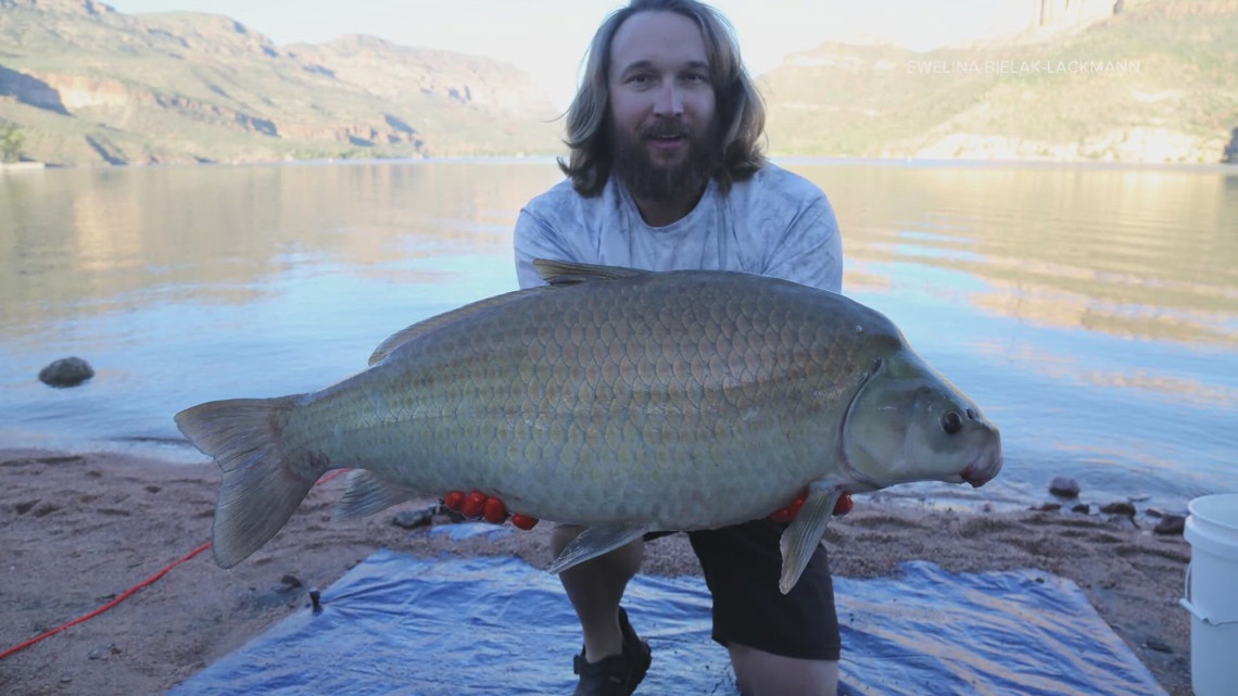 Unlocking the secrets of the Buffalo Fish in Arizona | 12news.com