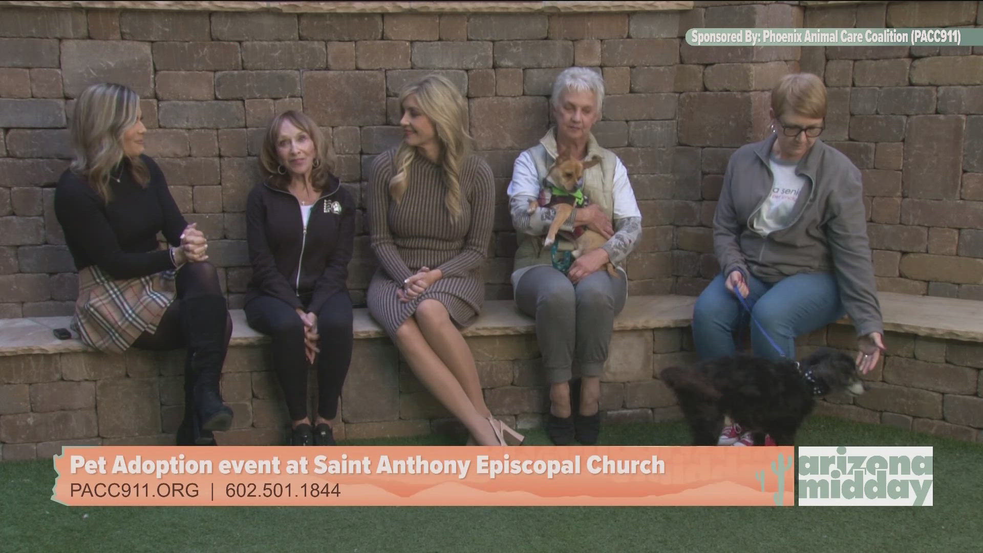 Pet adoption event at Saint Anthony Episcopal Church | 12news.com