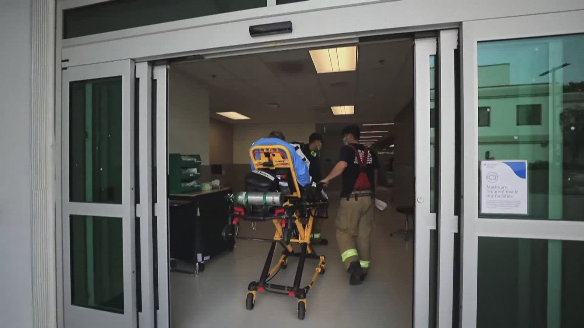 Valley woman treated for plague after camping in Flagstaff | 12news.com