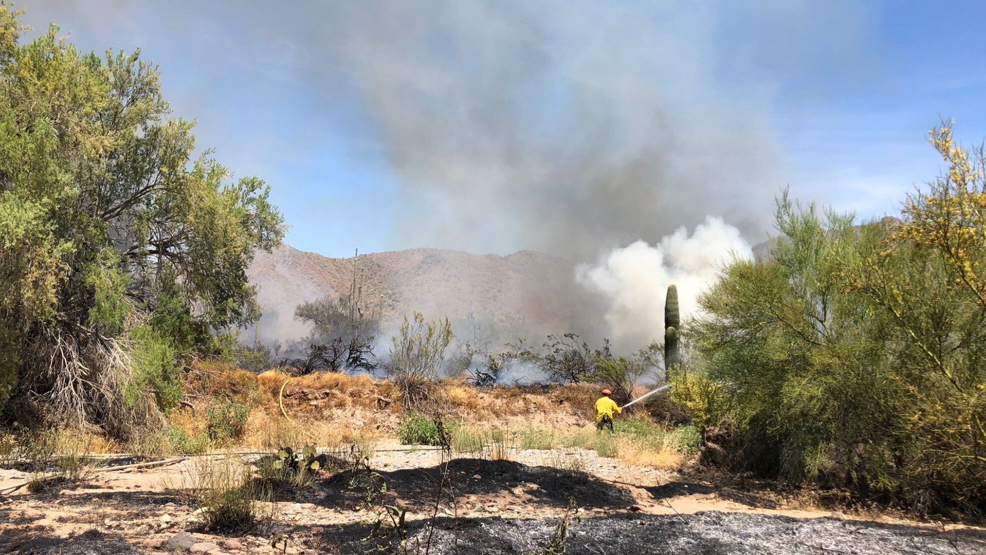 Officials: Human-caused north Phoenix brush fire is 80% contained ...