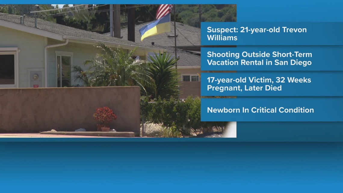 Pregnant 17-year-old from Phoenix killed by boyfriend in San Diego ...