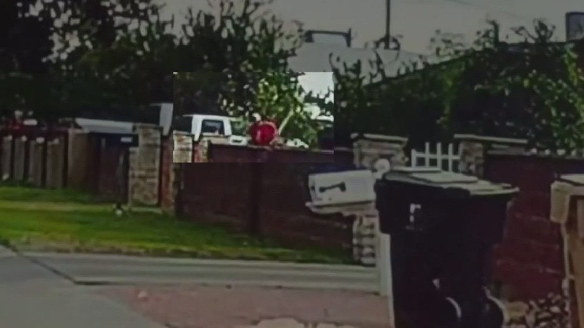 Emma Jade joins the anchor desk on Today in AZ | 12news.com